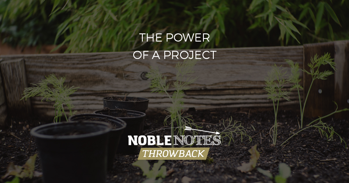 The Power of a Project - Noble Warriors